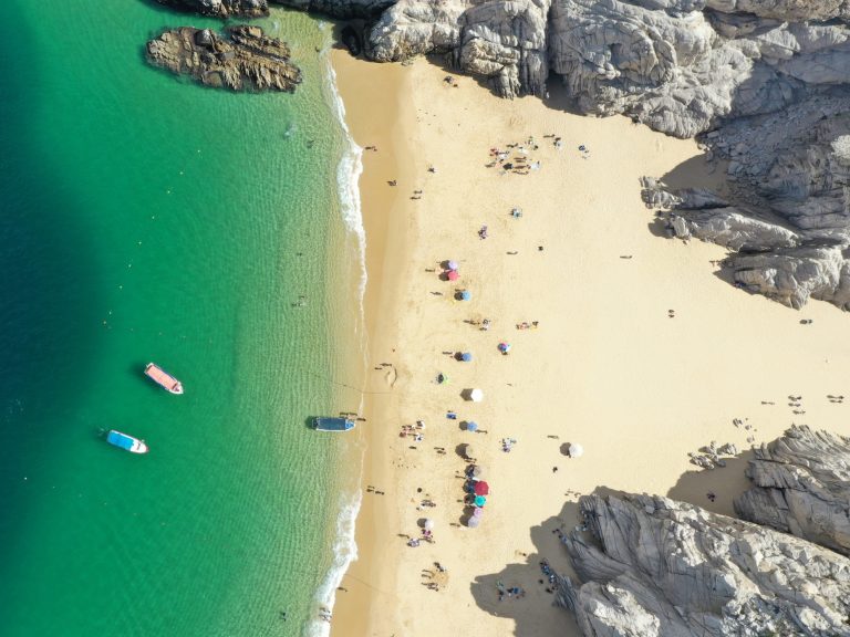 Cabo San Lucas Marine Reserve | At Los Cabos