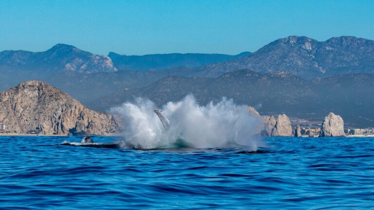 Cabo Weather in December | At Los Cabos