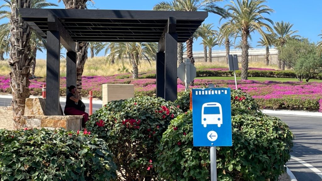 How to get to Chileno Beach from Cabo San Lucas? | Los Cabos Beaches